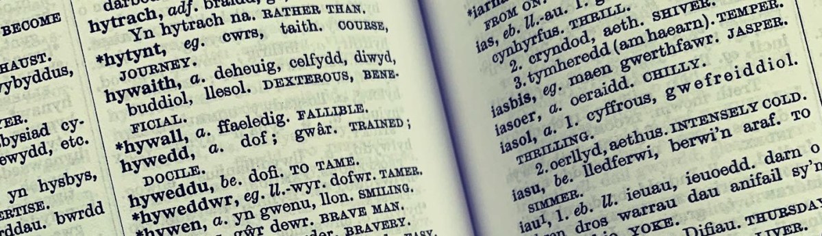 Adventures in Welsh – den språkliga skatan