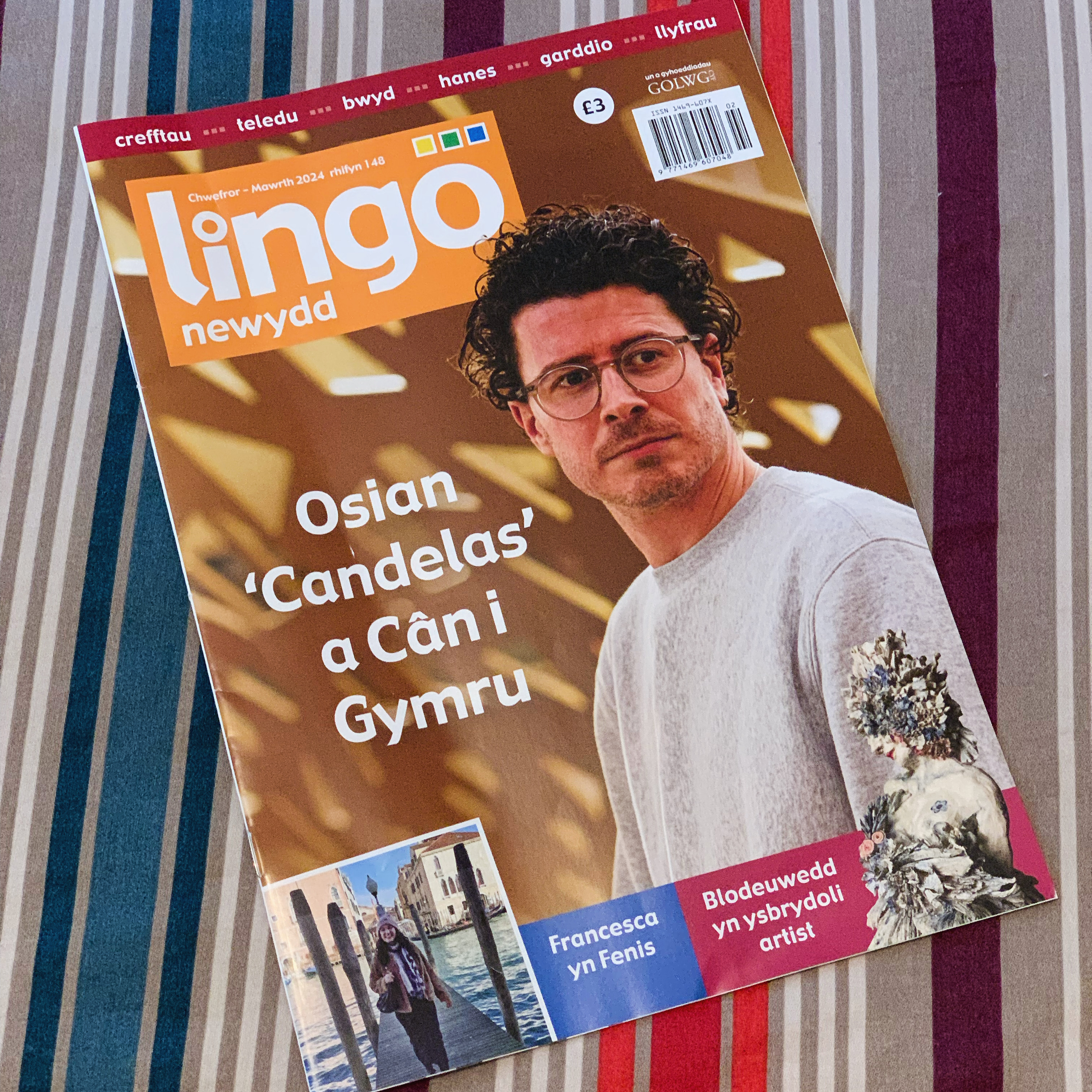 The joy of reading: Welsh edition – den språkliga skatan