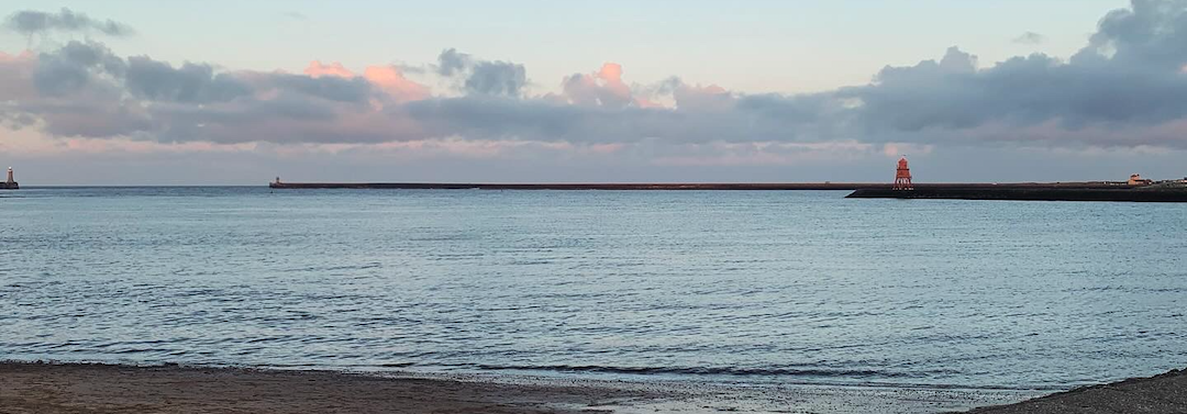 Tracking progress – den språkliga skatan